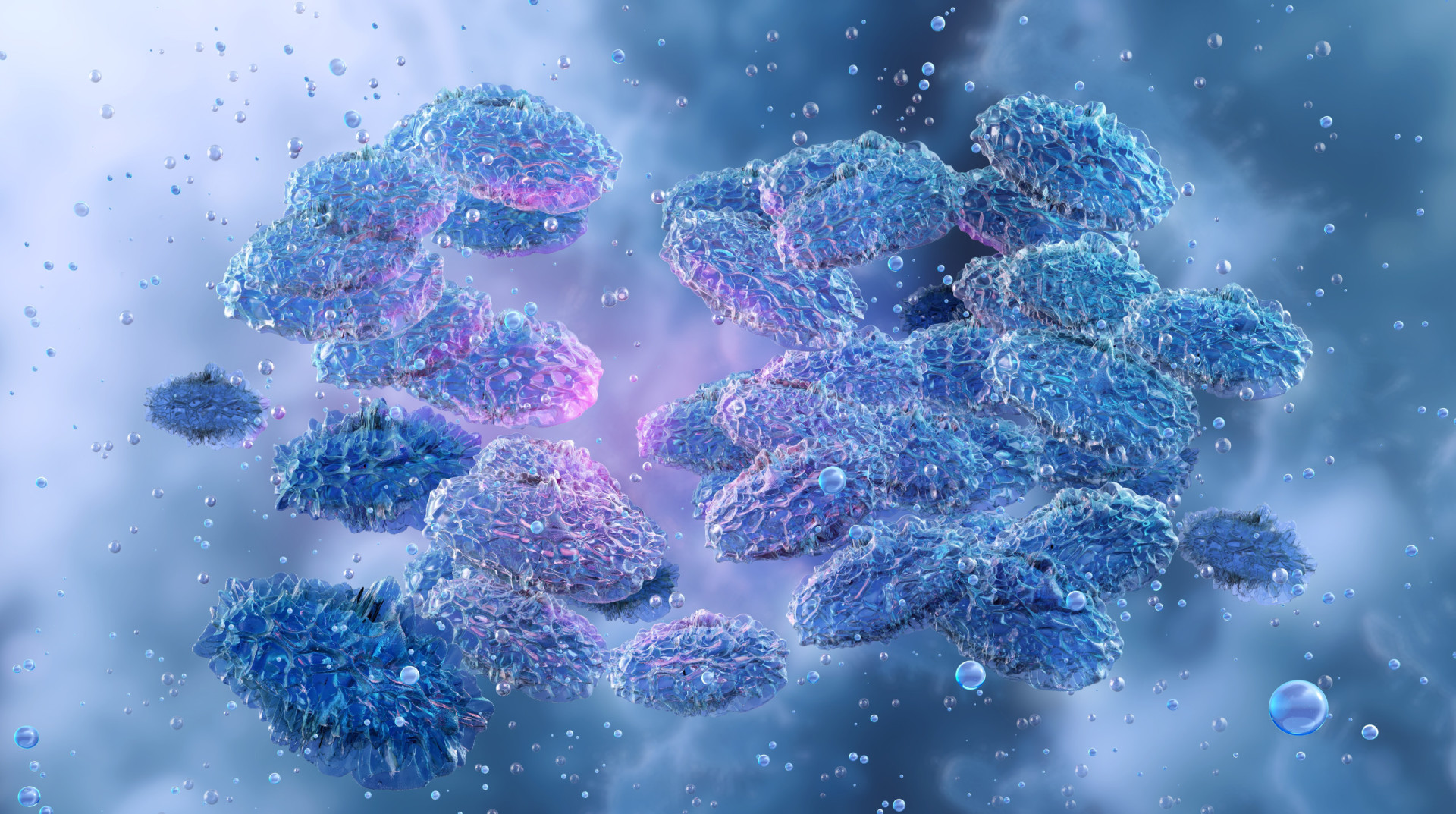 New plague infection confirmed in California