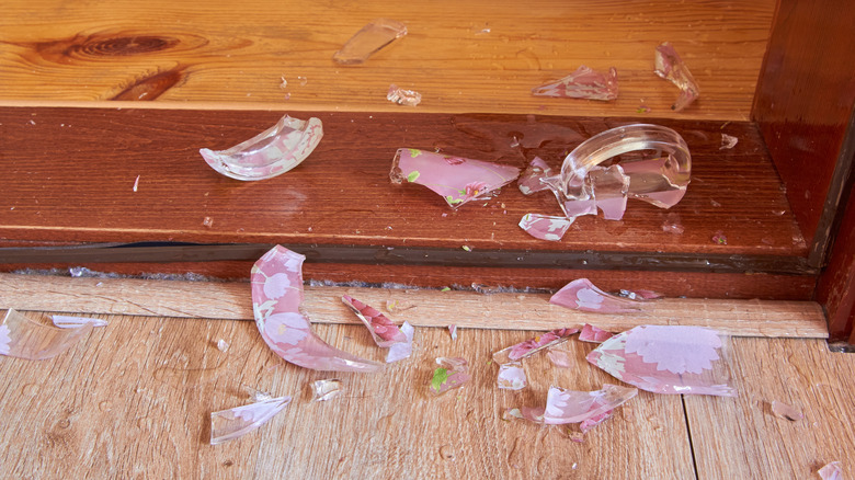 The Vacuum Types You Should Never Use On Broken Glass