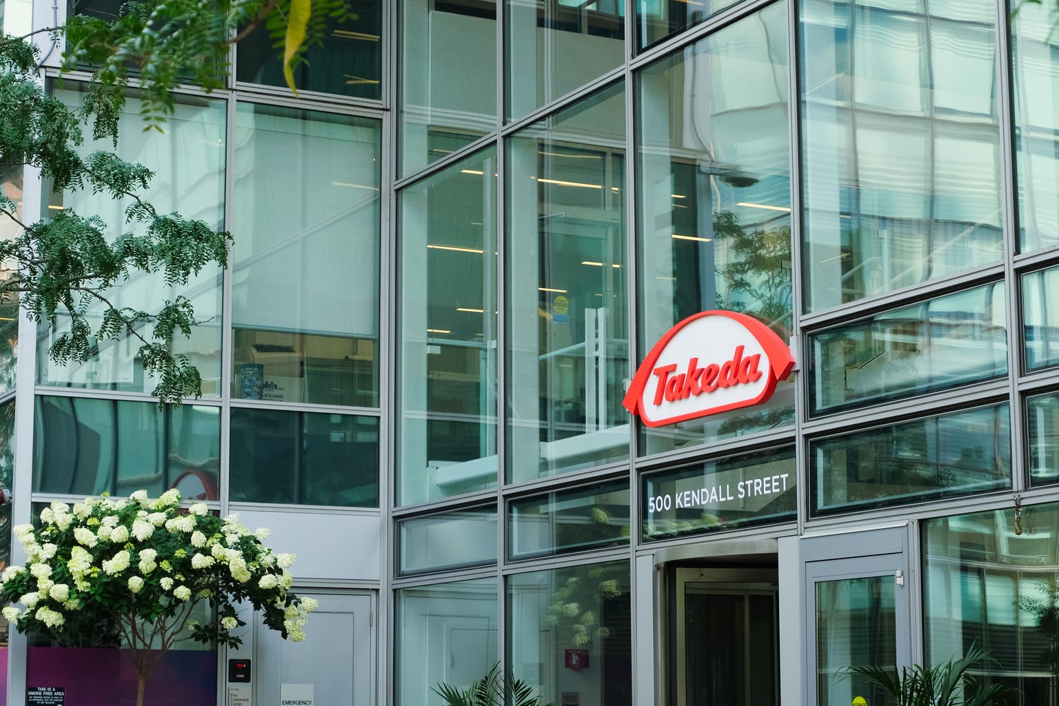 Takeda sees positive late-stage results for oveporexton in narcolepsy