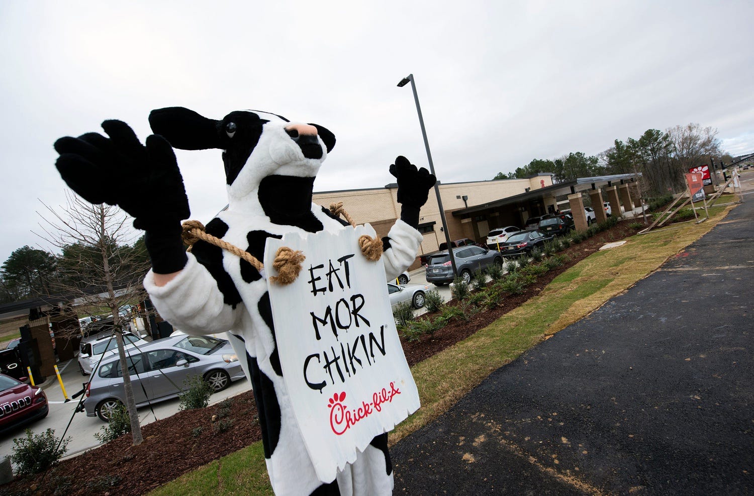 Is Chick-fil-A Code Moo 2025 yielding free food today? How to play ...