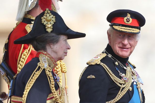 Princess Anne's 2024 Horse Incident Was 'So Much Worse Than Anyone Let ...