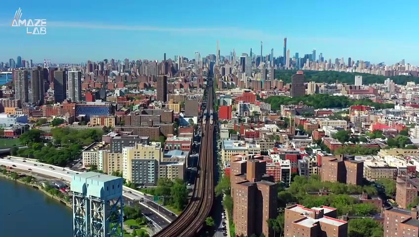 What Would Happen if All the Humans Disappeared?