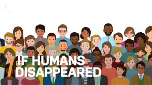 What Would Happen if All the Humans Disappeared?