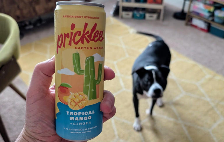 Pricklee Cactus Water works best when it leans into its (deep, desert ...