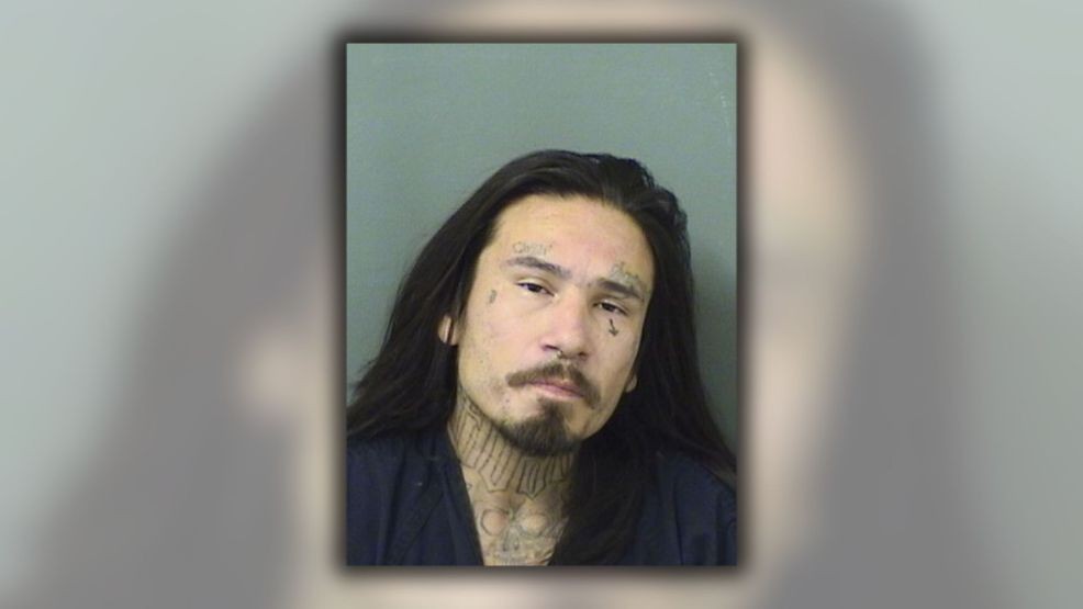 Michigan man found on I-95, accused of threatening police who came to help