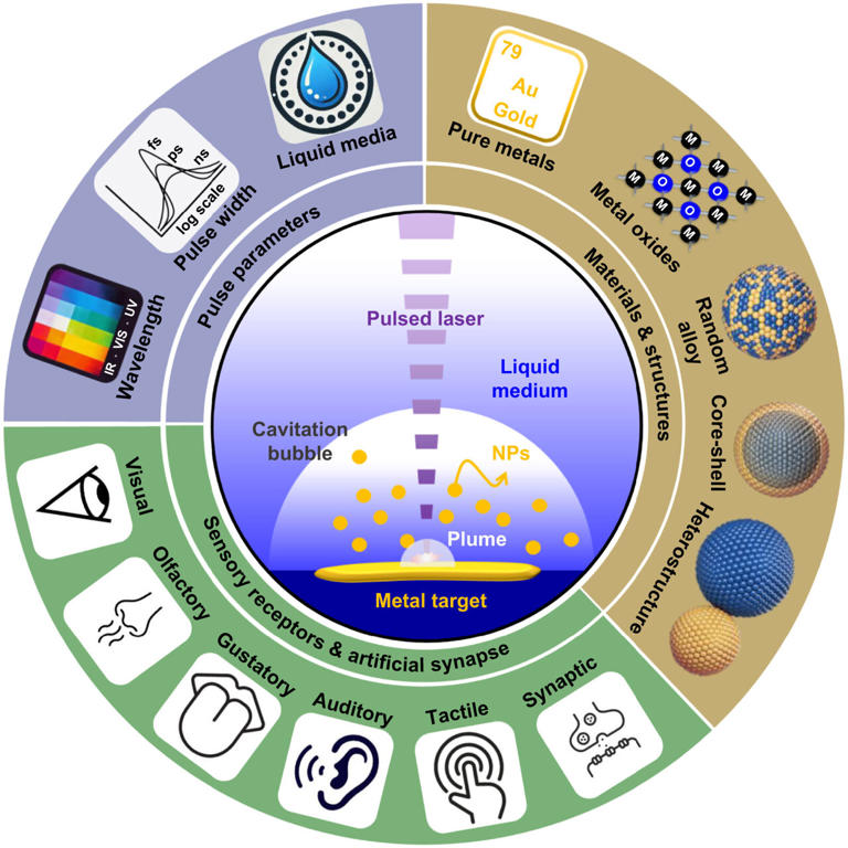Laser-generated nanoparticles promise cleaner, smarter artificial ...