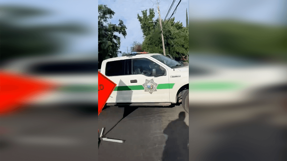 Fallen tree closes Vallombrosa Avenue in Chico, traffic diverted