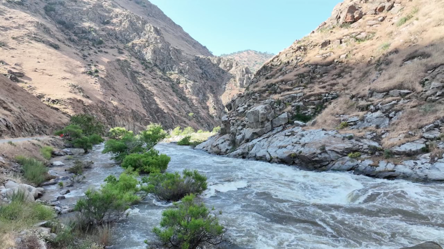 Plan to restore over 600 acres of Kern River habitat involves planting ...