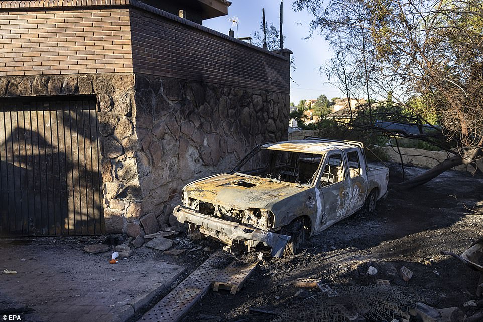 All Tomb Raider Movies & TV Shows, Ranked from Worst to Best