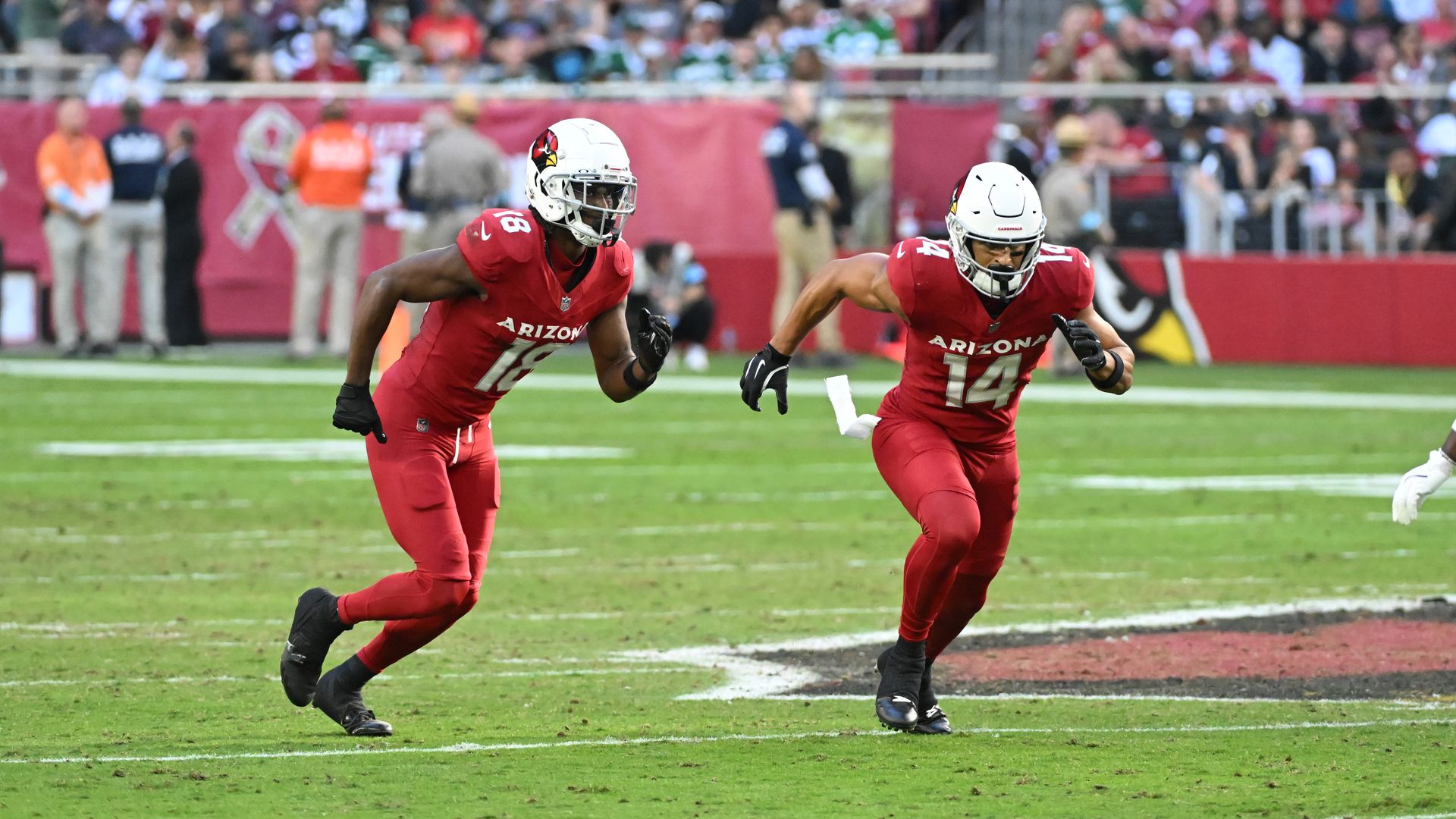 Arizona Cardinals have the starters, but who are the backups for the ...