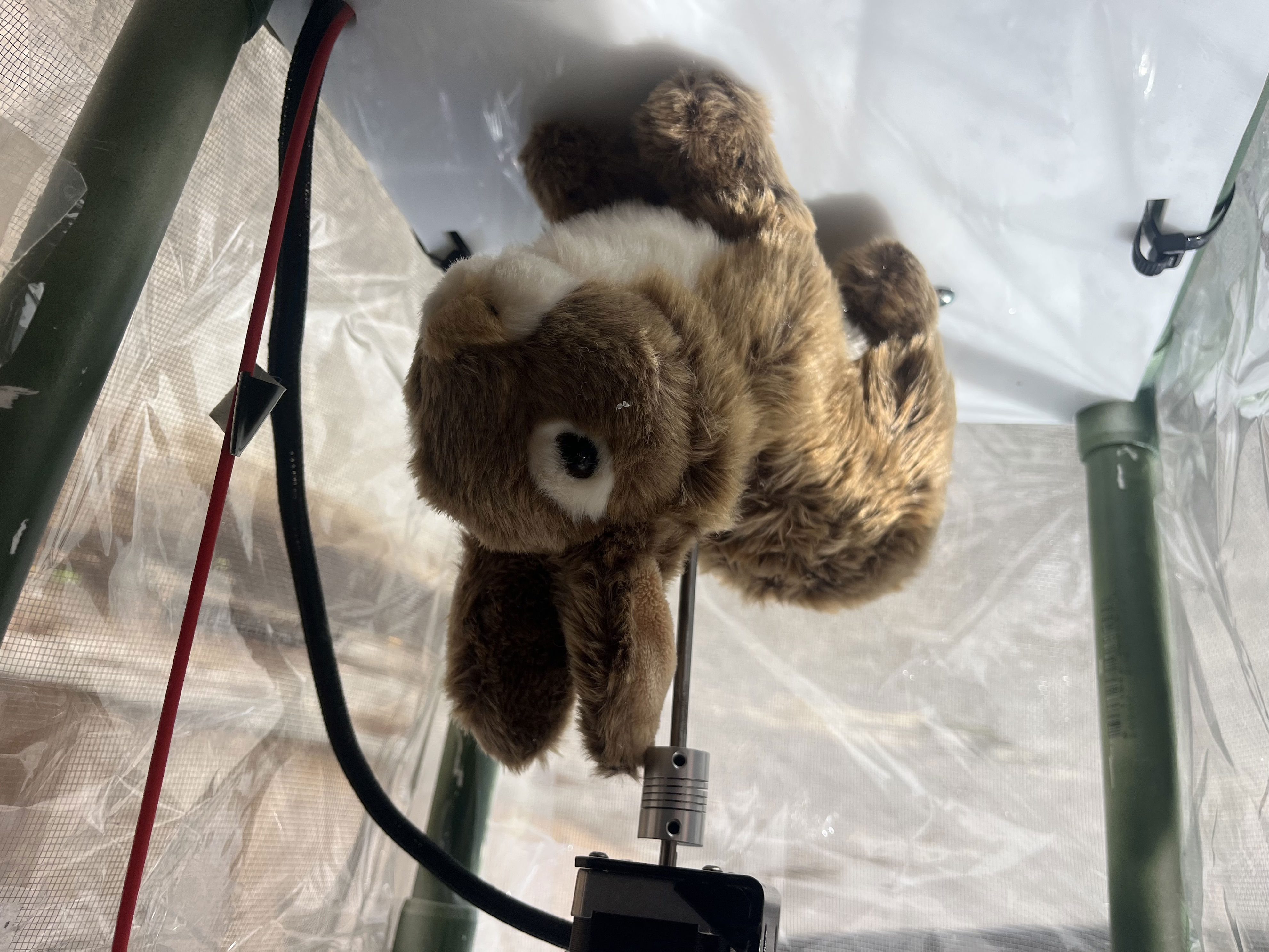 'Robo-Bunnies' Are the Newest Weapon in the Fight Against Invasive ...