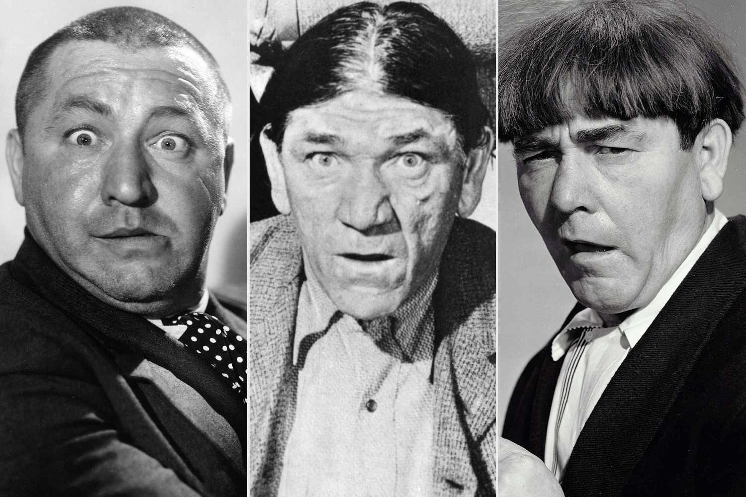 The Three Stooges' Howard Family Enjoys Reunion as Curly's Grandson ...