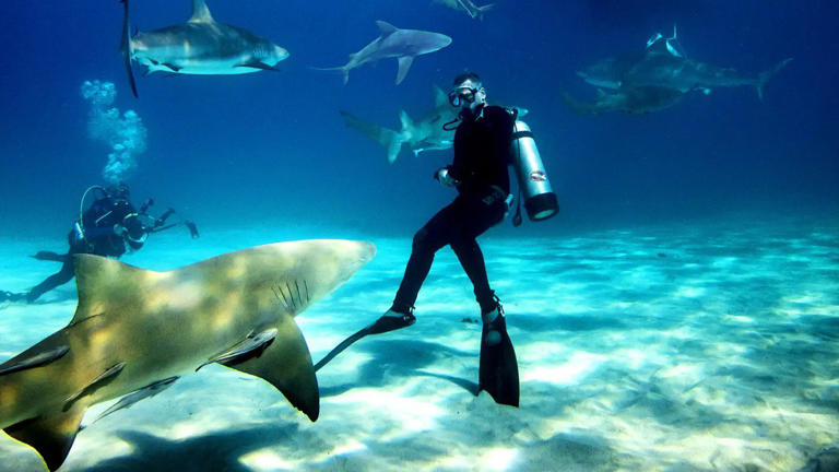 ExoMars parachutes ready for martian deployment