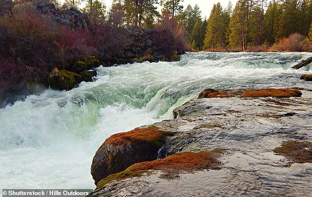 Double tragedy at stunning Oregon waterfall after group got too close to edge