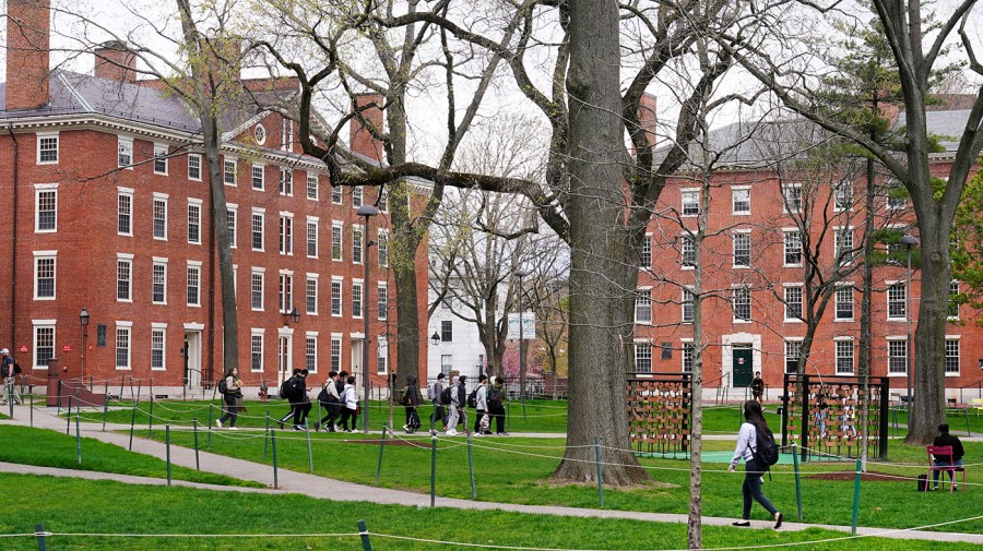 HHS looks to block Harvard from federal funding