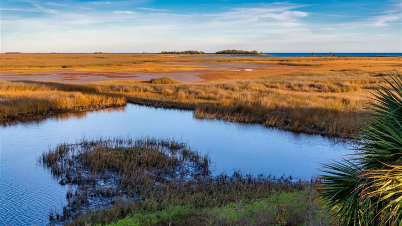 12 Hidden Gems Along Florida’s Forgotten Coast Worth Exploring