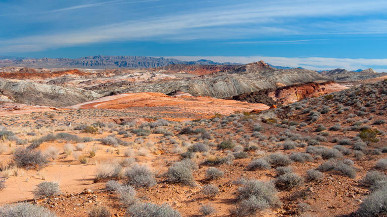 One Of The American Southwest's 'Last Truly Wild' Places Hides At The ...