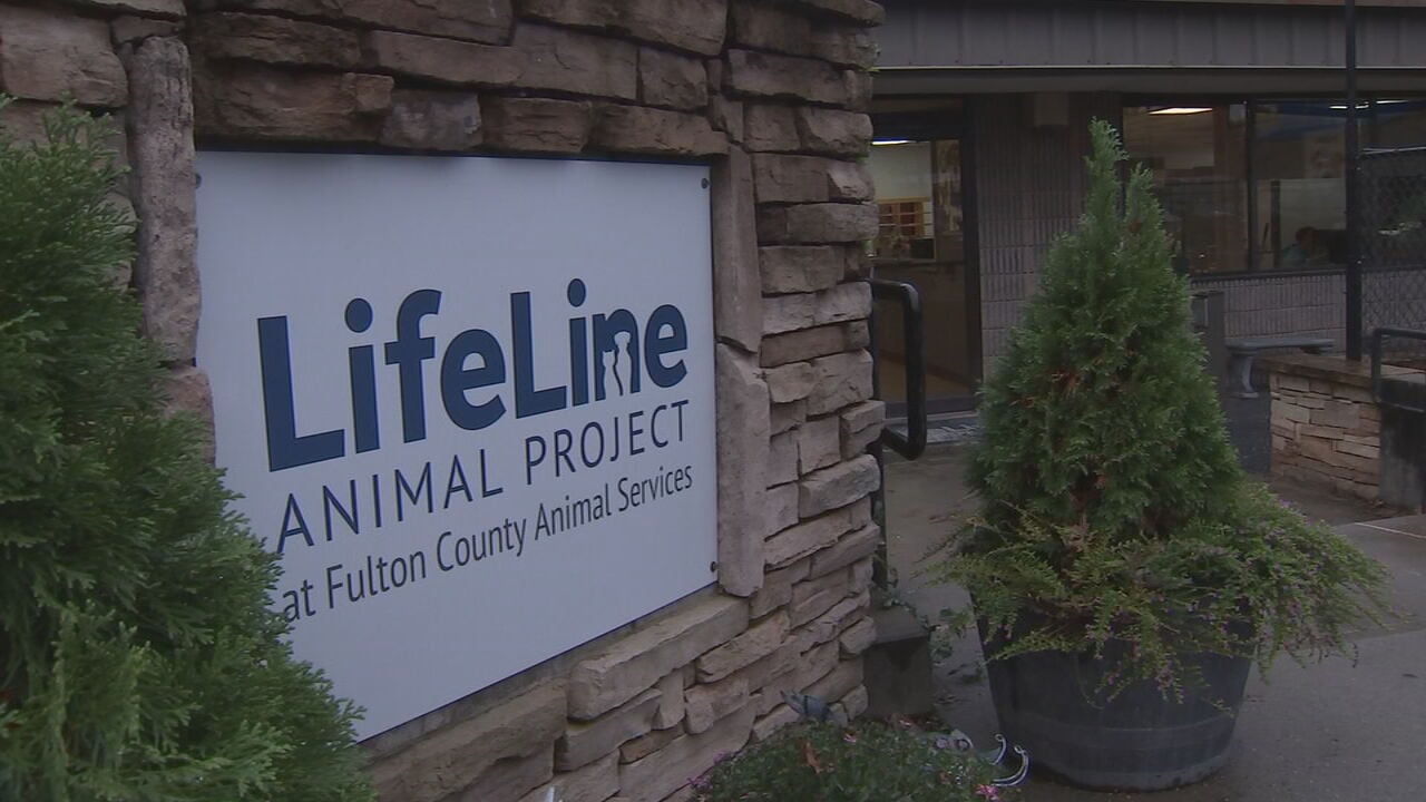 LifeLine Animal Project opens free adoption week with PetSmart Charities