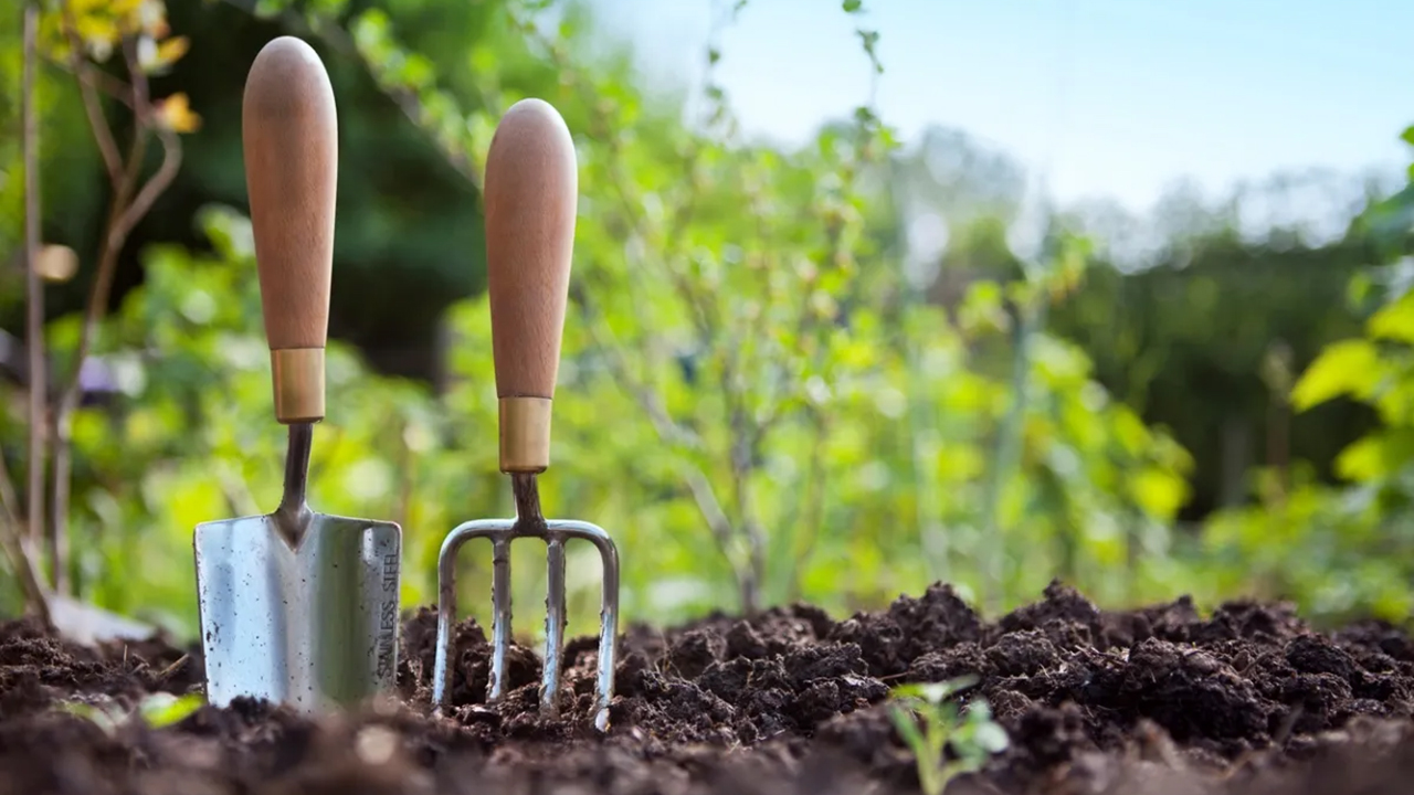 8 Essential Life Skills People No Longer Learn, But Still Desperately Need