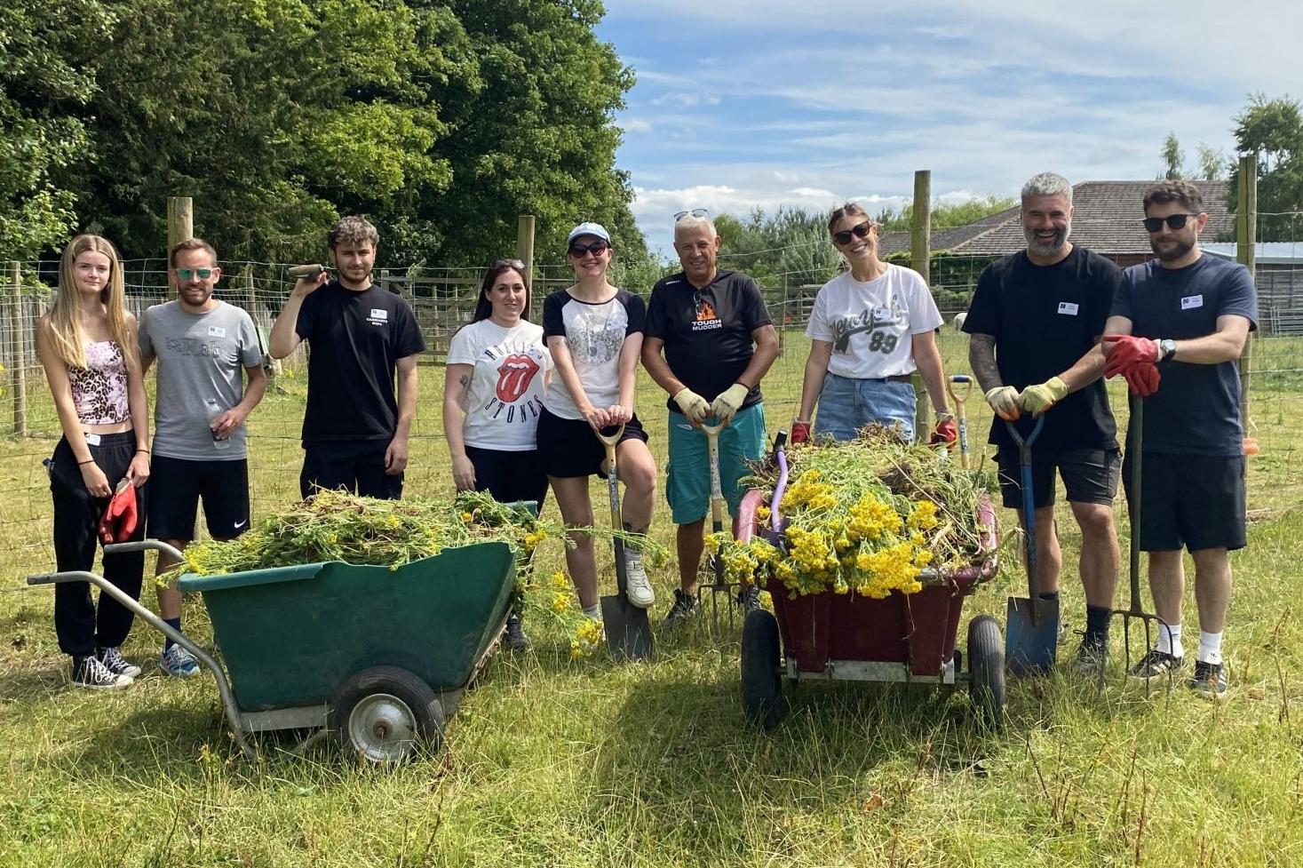 Business and procurement organisation join forces for a volunteering ...