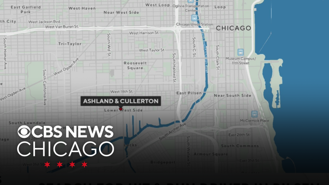 Police searching for driver who hit, killed woman in Chicago's Pilsen ...
