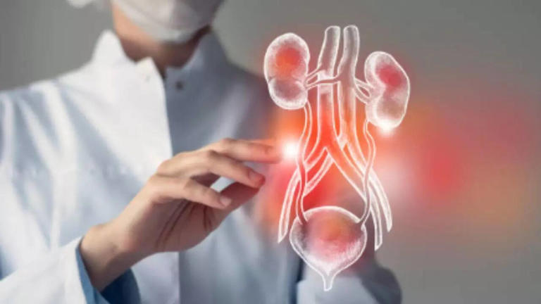 3 foods that can improve kidney function