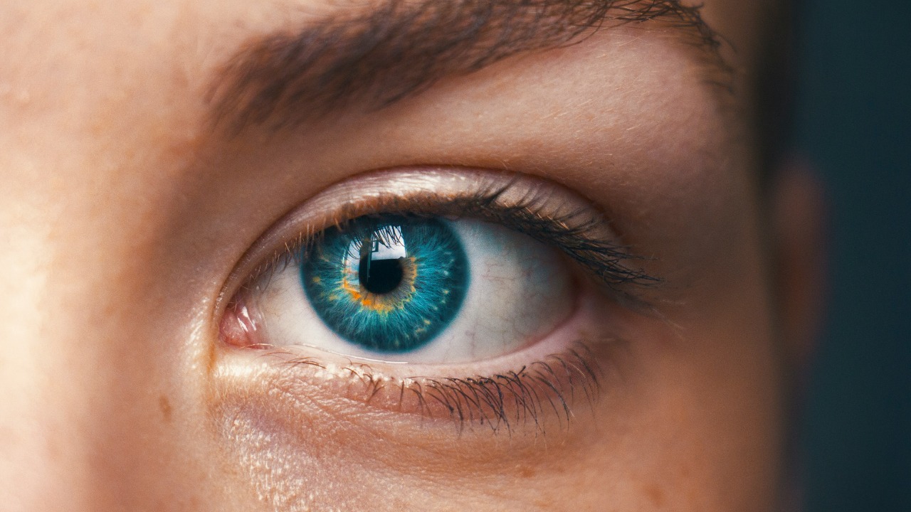 New contact lenses let you see the invisible