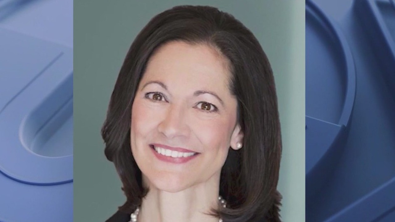 Ex-ComEd CEO Anne Pramaggiore sentenced to 2 years