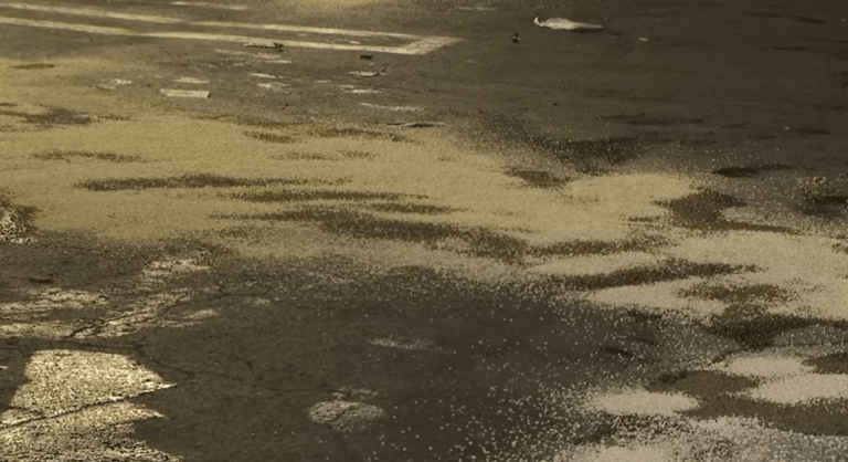 Los Angeles AutoZone looted following ‘street takeover’