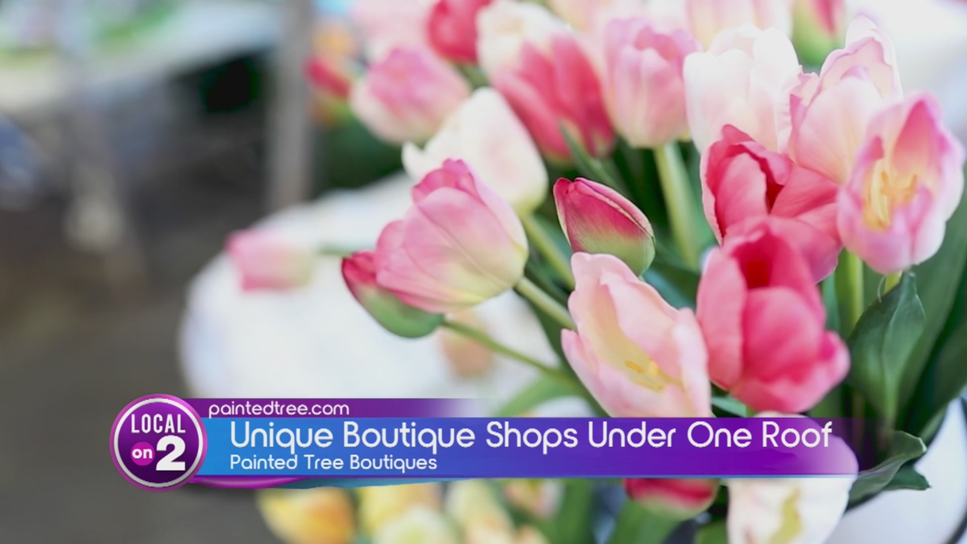 Painted Tree Boutique: Unique Shopping Experience