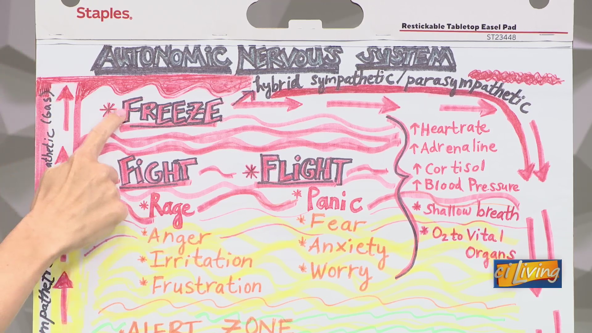 Why Do We Feel Overwhelmed?