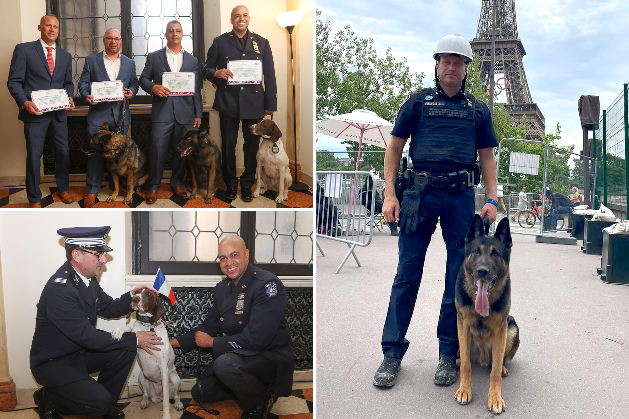 Bomb-sniffing NYPD K-9s, handlers honored at French consulate for ...