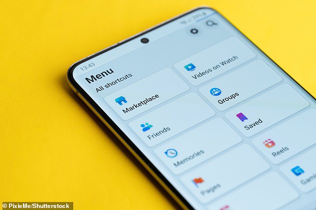 Cyber experts issue 'spying' warning over apps that access your ...