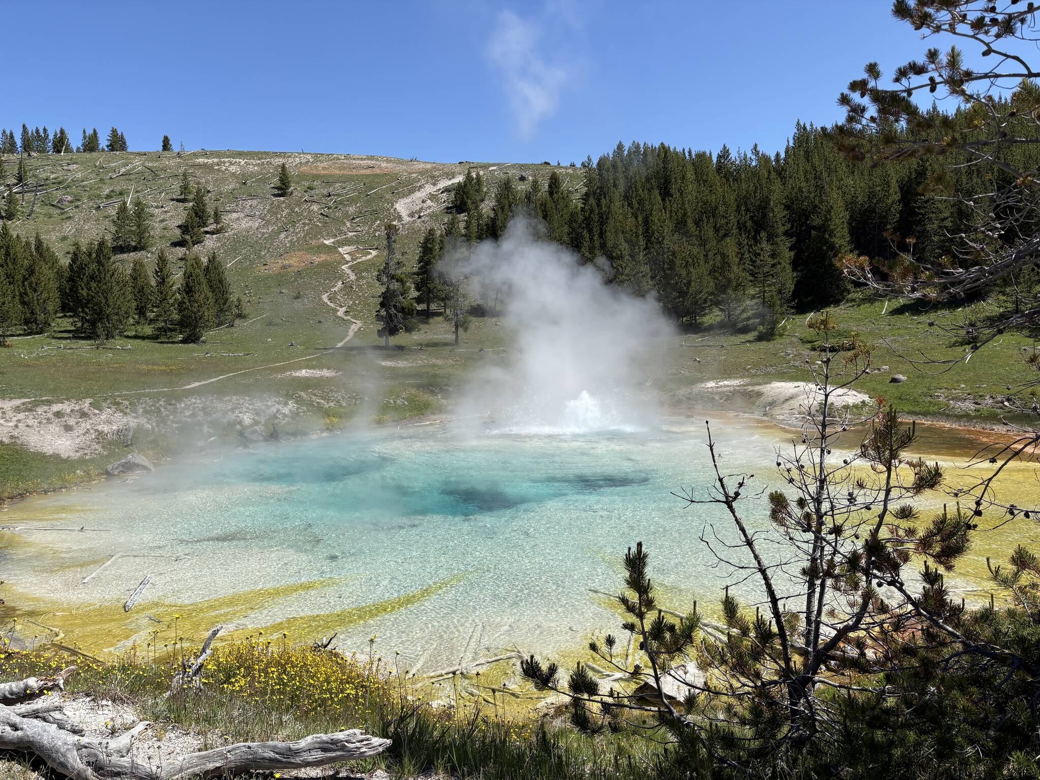 Yellowstone: The world’s first national park | Meanderings by Mindy Stern