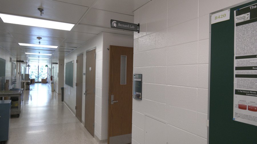 MSU professor worries about proposed health funding cuts