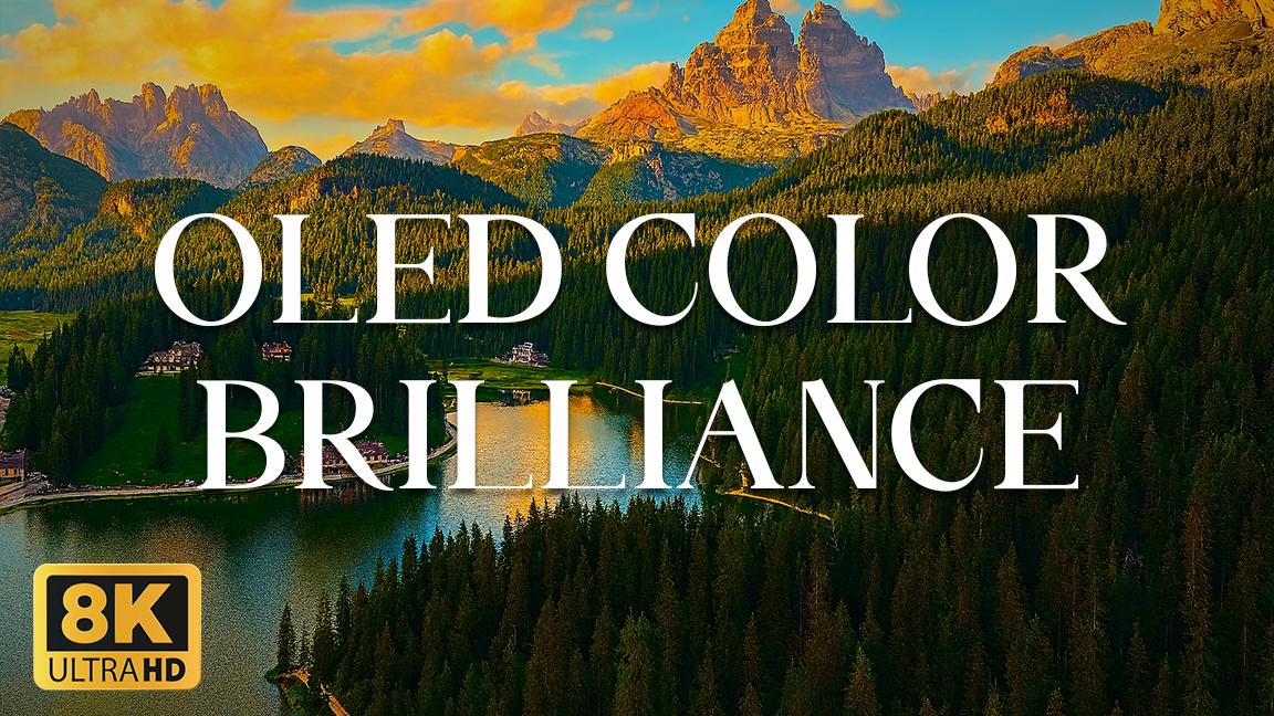 8K OLED Color Brilliance (Dolby Vision™ Ultra HD Demo)