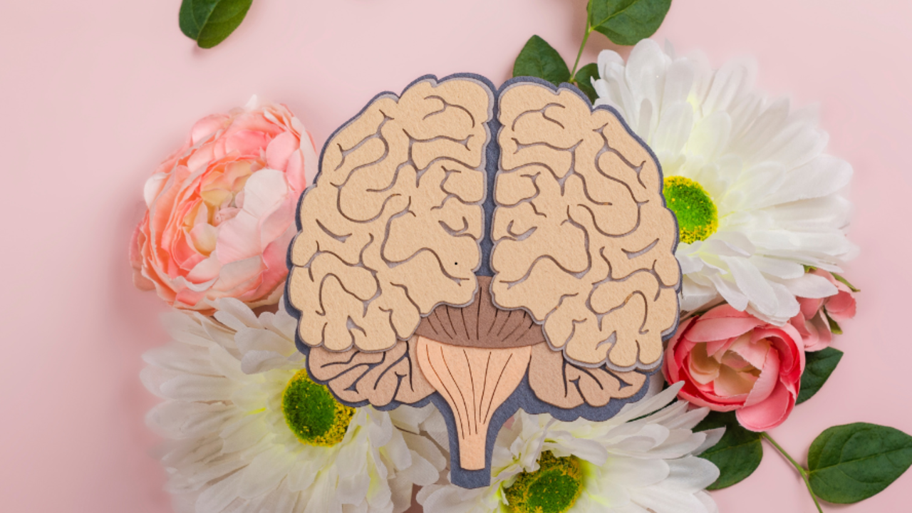 World Brain Day 2025: History, Theme, And Significance