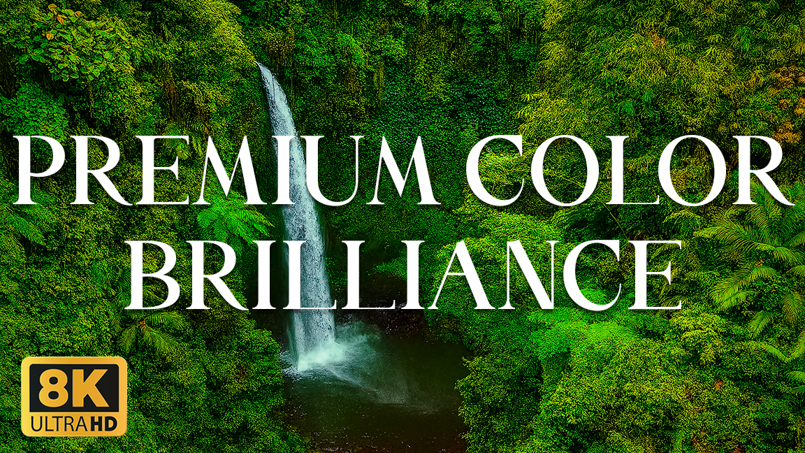 Premium 8K Color Brilliance – OLED Demo with Dolby Vision™ HDR