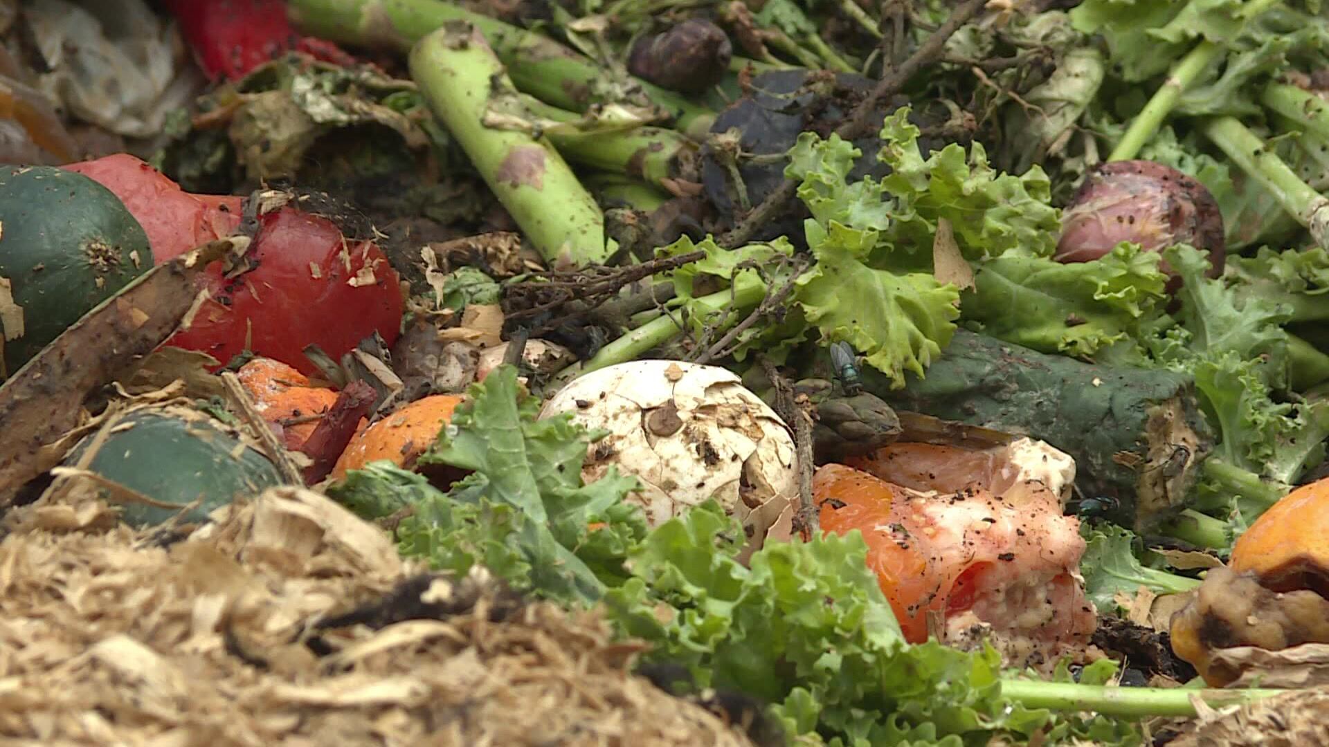 Dane Co. officials celebrate success of new food scrap collection