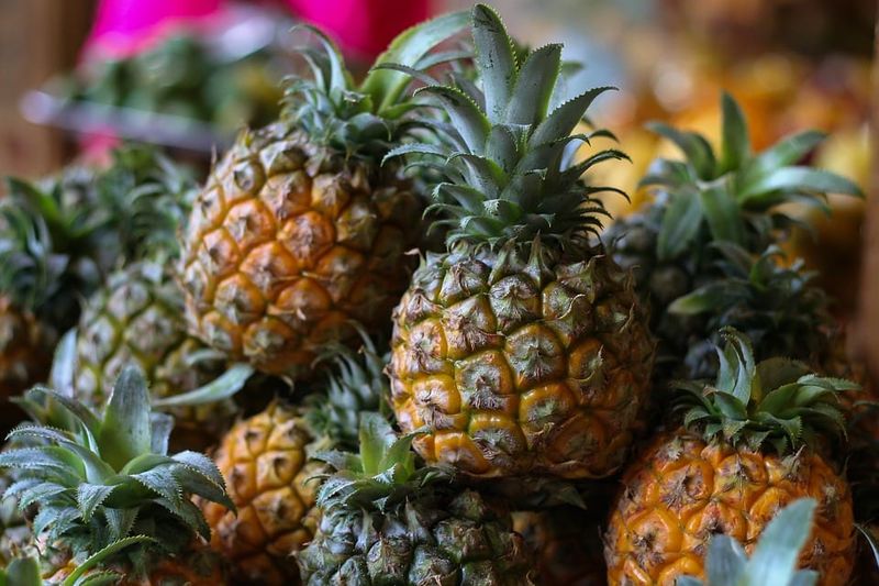 11 Historical Foods That Used To Be A Sign Of Wealth