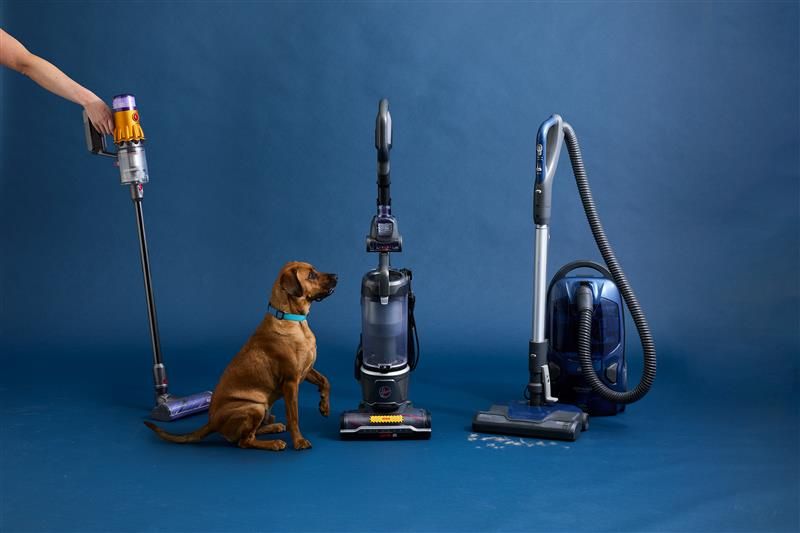 Our cleaning pros found the 9 best vacuums for tackling pet hair after ...