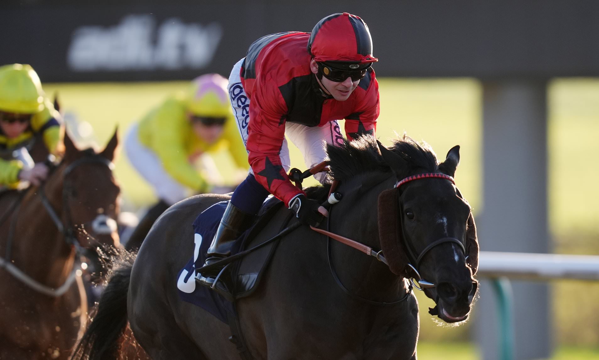 Robin Goodfellow's racing tips: Best bets for Tuesday, July 22