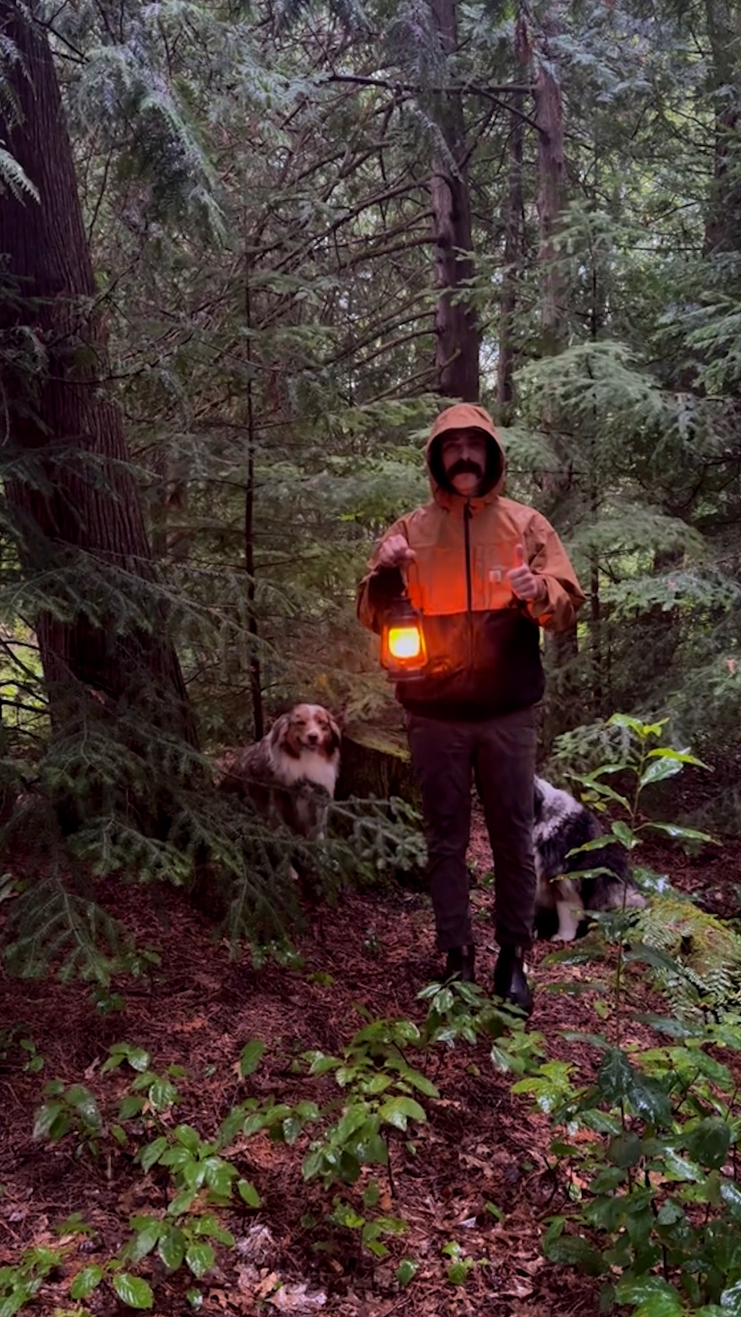 Campfire Cooking ASMR to Soothe Your Soul