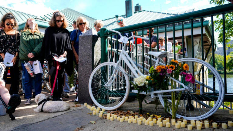 Driver was allegedly distracted by a bug prior to fatal Cambridge ...