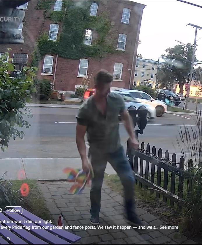 Security footage showing man ripping Pride flags from P.E.I. storefront ...