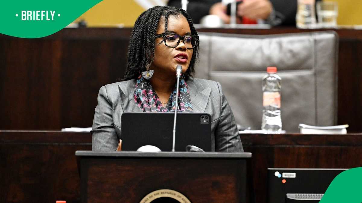 Opposition party and GNU partner welcome Nobuhle Nkabane's removal as ...