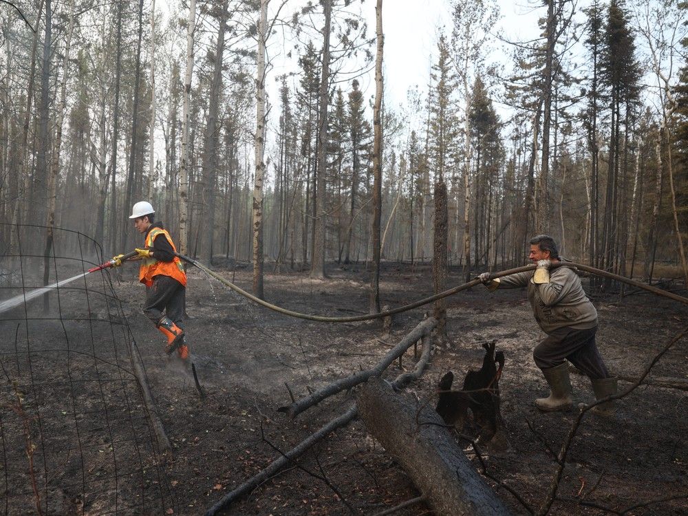 Northern fire ban lifted as weather conditions improve Saskatchewan's ...