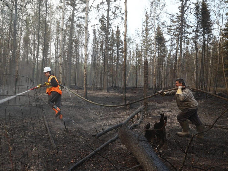 Northern fire ban lifted as weather conditions improve Saskatchewan's ...