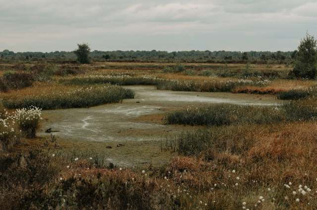 Experts confirm new sighting of incredibly rare creature not seen in ...