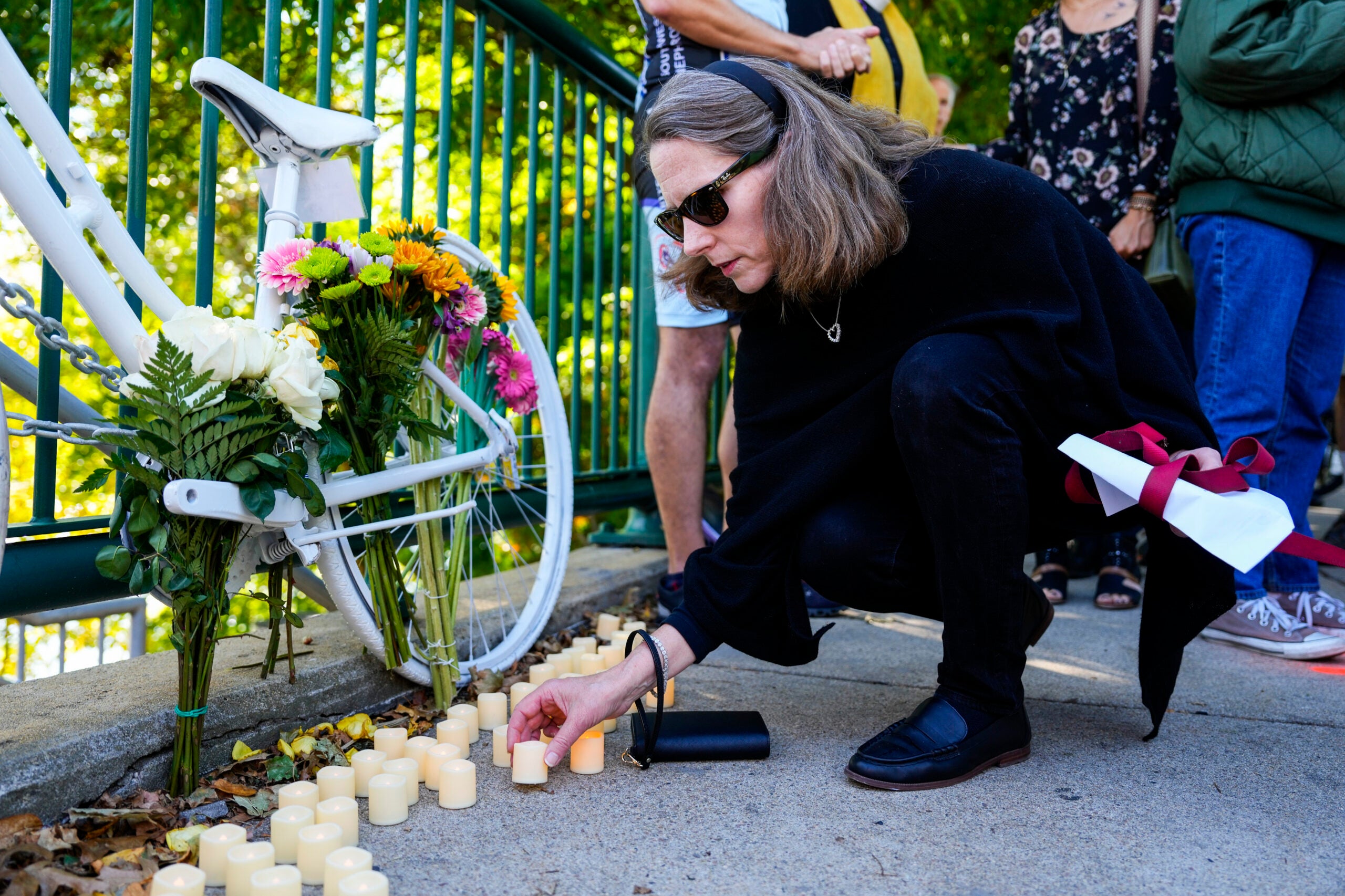 Driver was allegedly distracted by a bug prior to fatal Cambridge ...